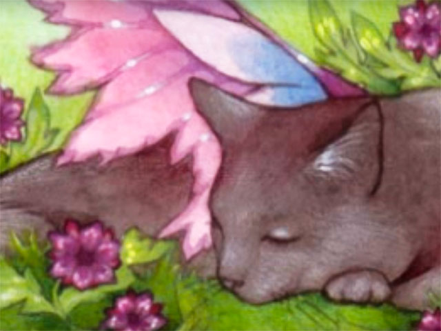 Cat Video: Magical Fairy Cats | Cute and Funny Cat Videos – Cat Faeries